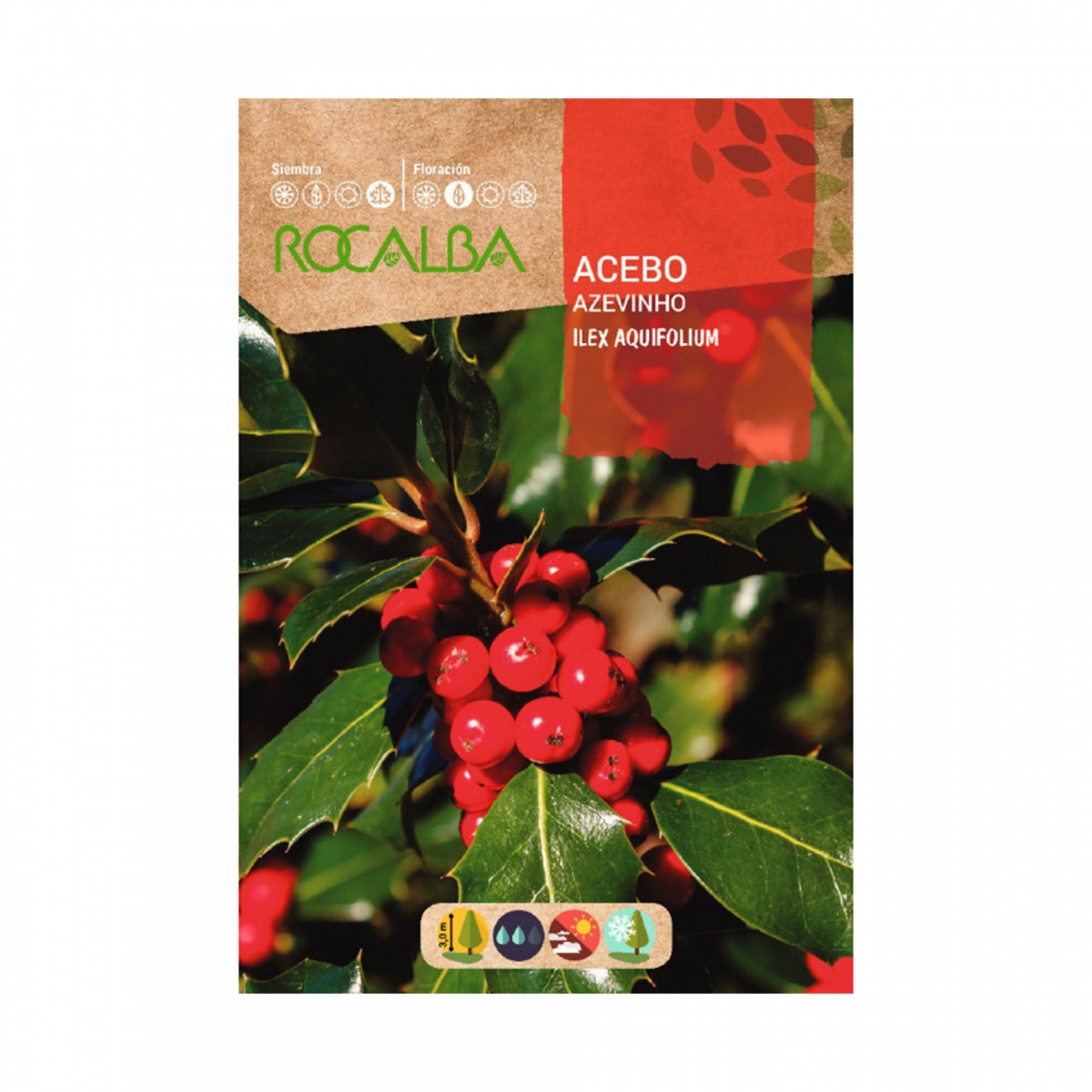 Azevinho 1 G ROCALBA