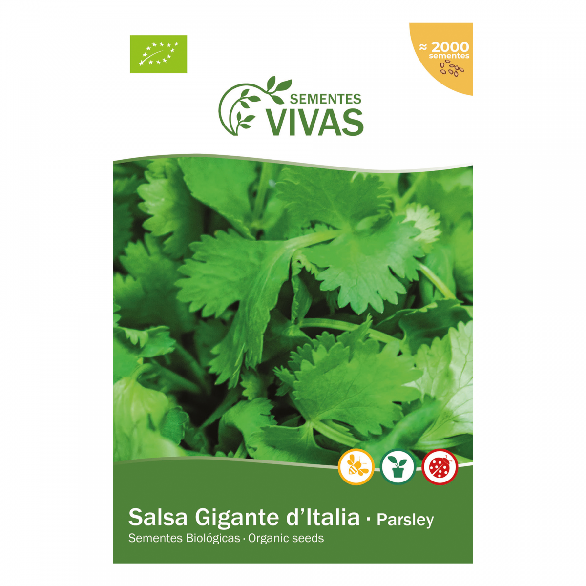 Salsa Gigante Itália 2 G SEMENTES VIVAS