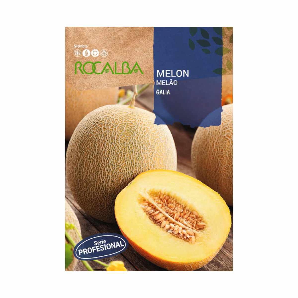 Meloa Galia F1 0,5 G ROCALBA - SF0016136_00213 | Agriloja