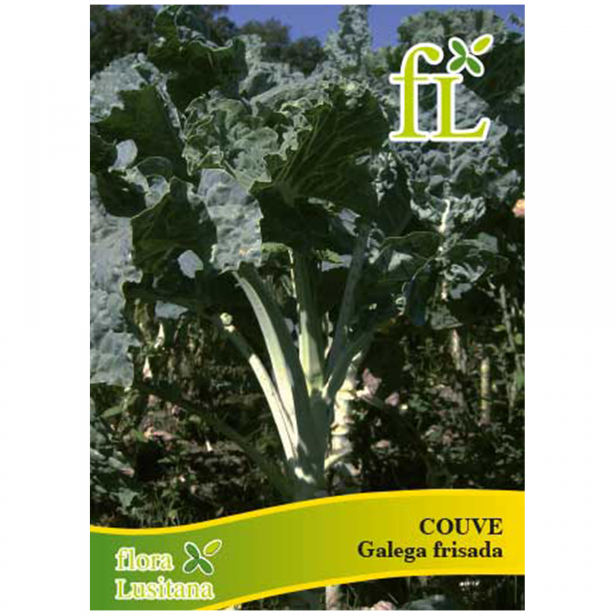 Couve Galega Frisada 10 G FLORA LUSITANA - SF0139230_00000 | Agriloja