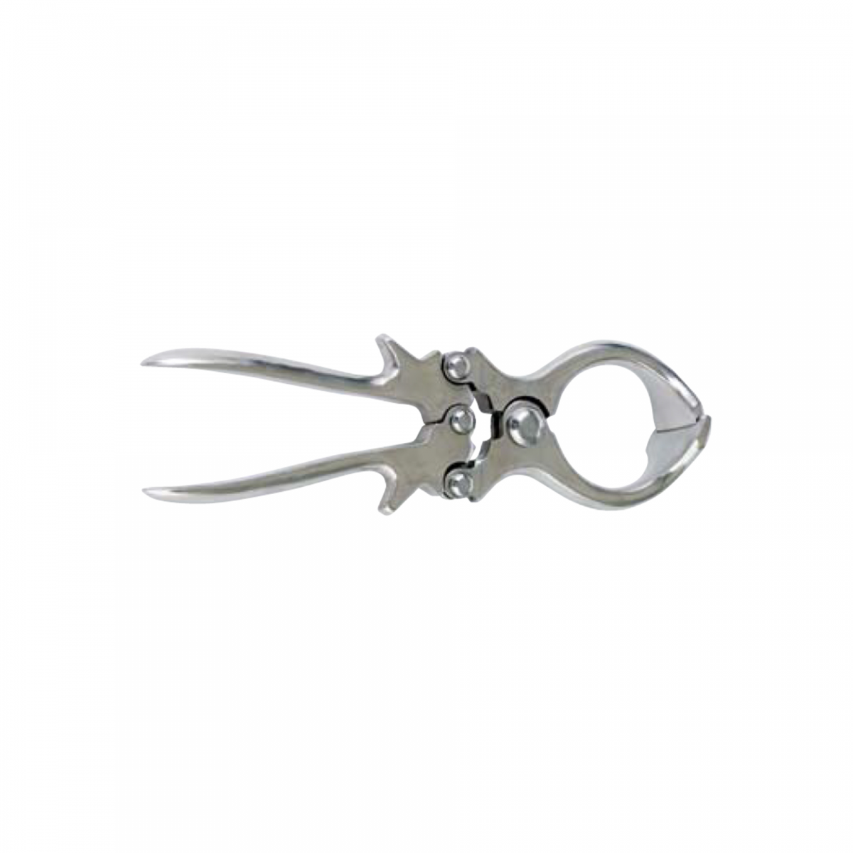 Castrador Articulado 23CM - SF0155379_00000 | Agriloja