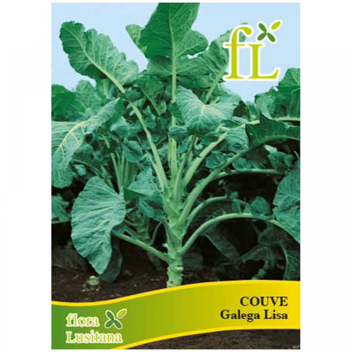 Couve Galega Lisa 10 G FLORA LUSITANA - SF0099675_00000 | Agriloja